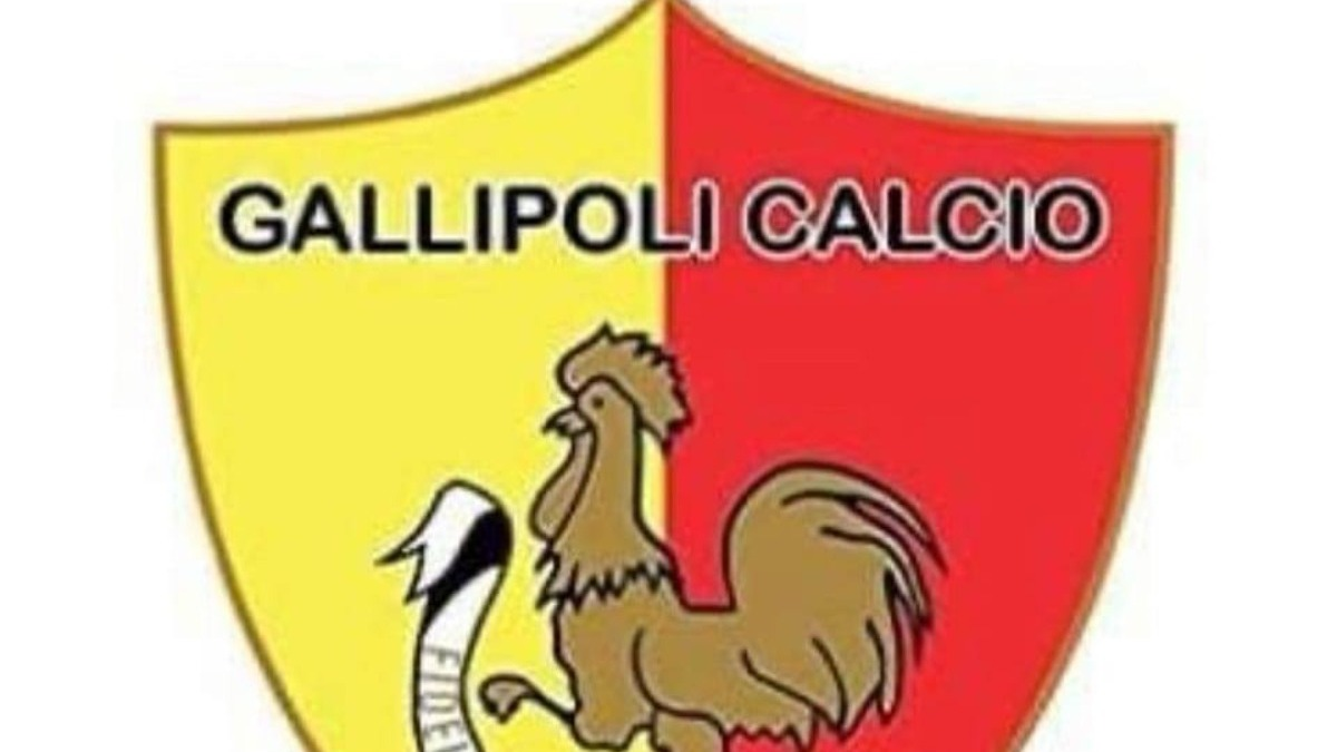 Eccellenza gir.B: Gallipoli Calcio, la decisione del Tribunale Federale ...