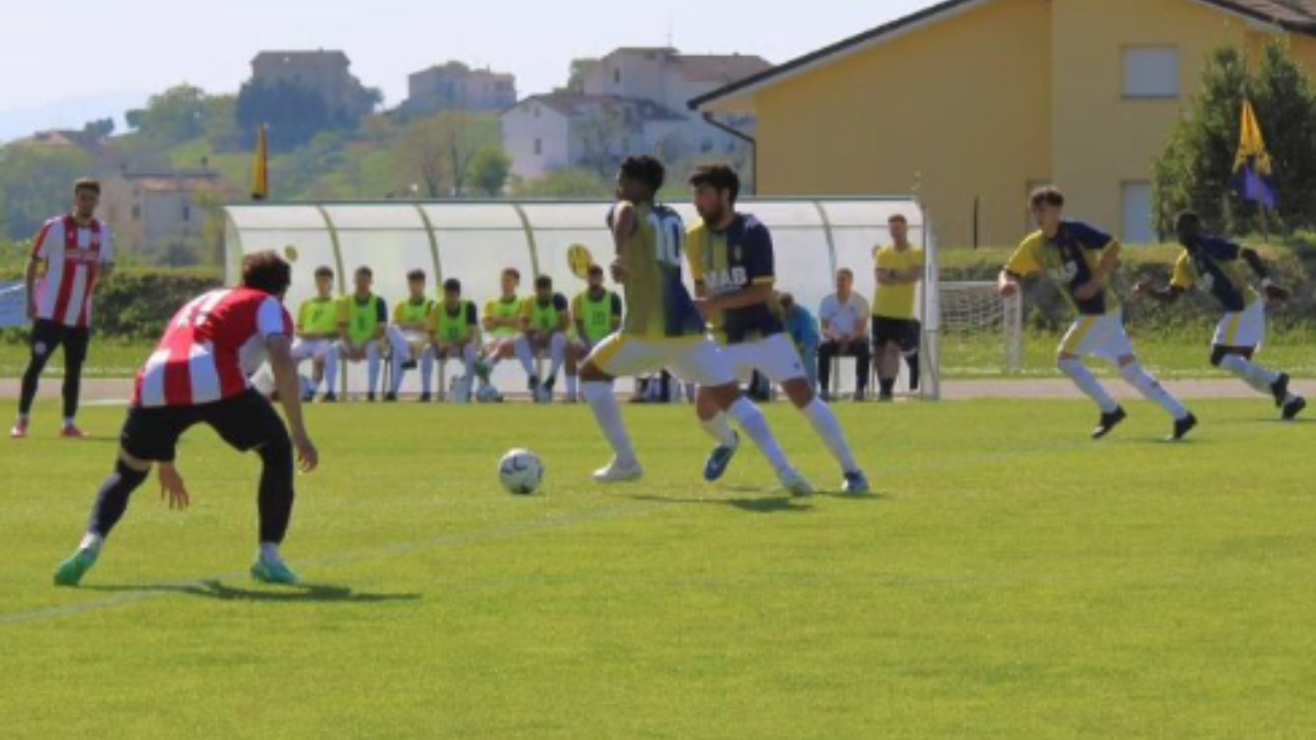ECCELLENZA. La KSport Montecchio Gallo espugna Montegranaro - Marche