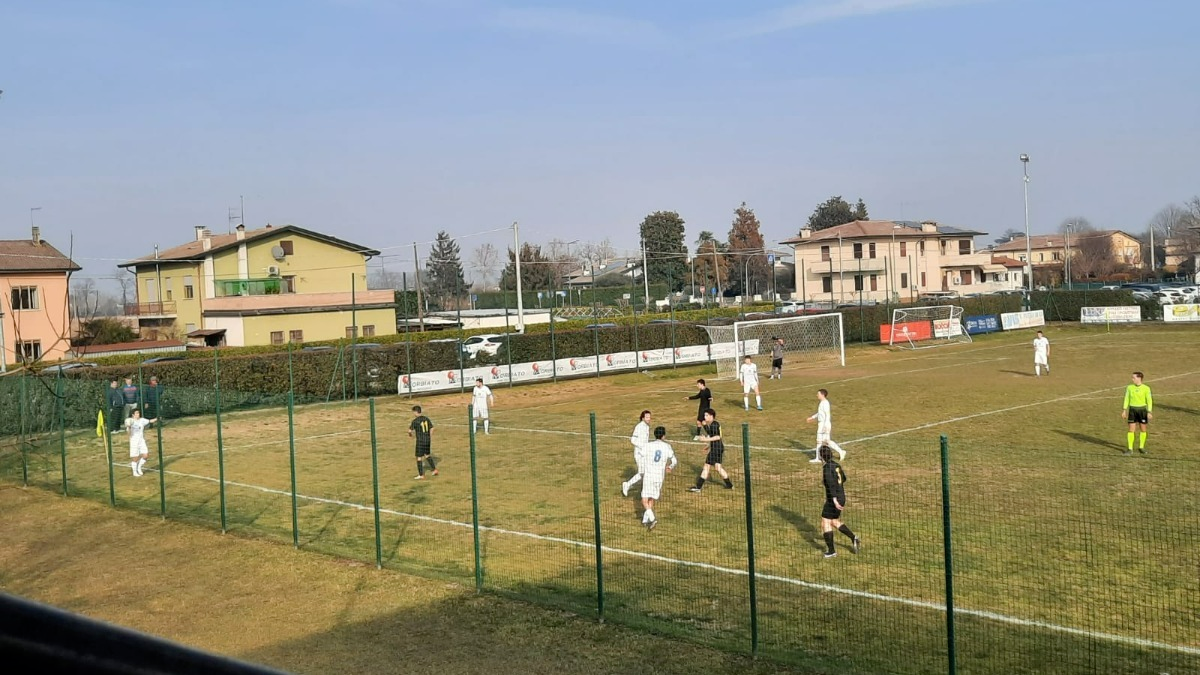 Viatek San Paolo Ariston, si riparte da mister Federico Sartori - Veneto - Vicenza