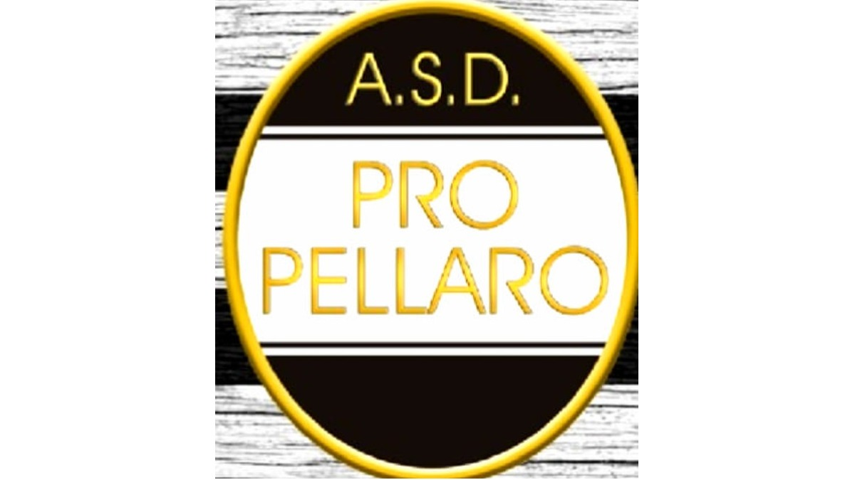 Pro Pellaro, lascia il presidente Ravenda: le sue parole - Calabria