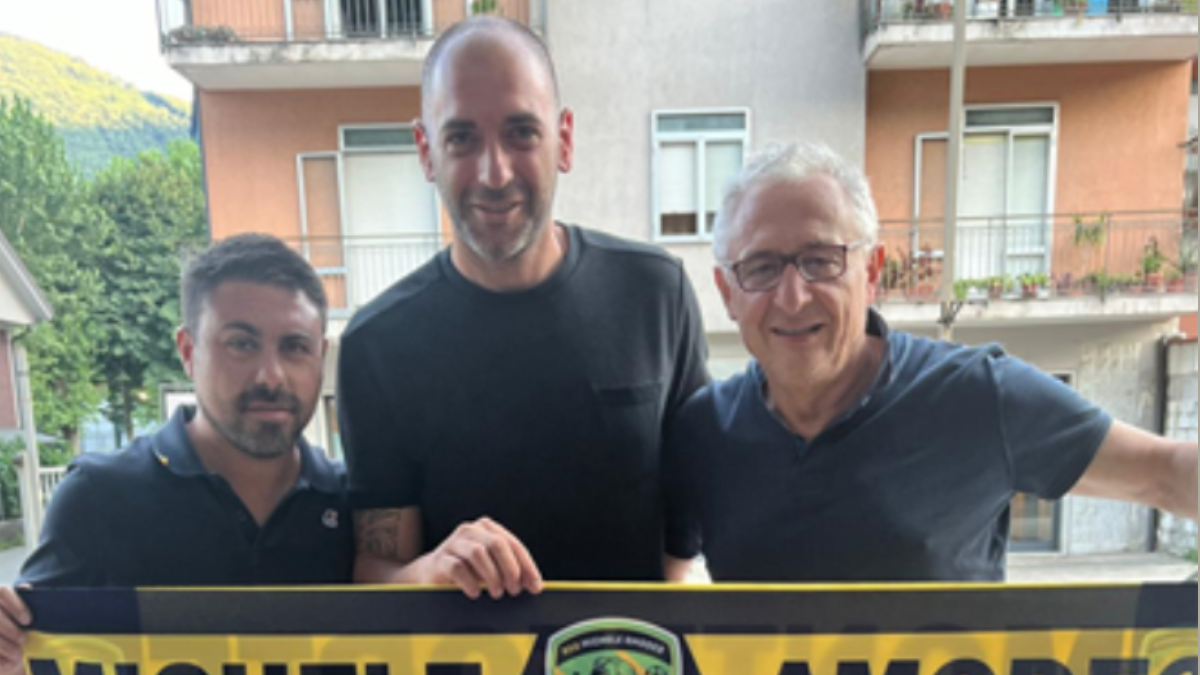 Michele Amodeo Monteforte, il punto sul mercato tra riconferme e nuovi ...