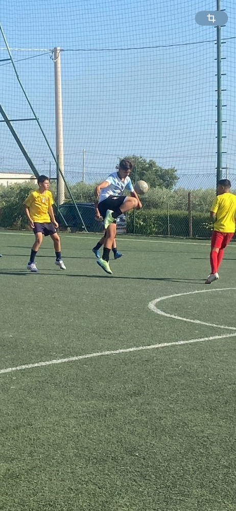 Scheda Giocatore G10291731 - Ribera 1954 - Tornei Campionato Esordienti ...