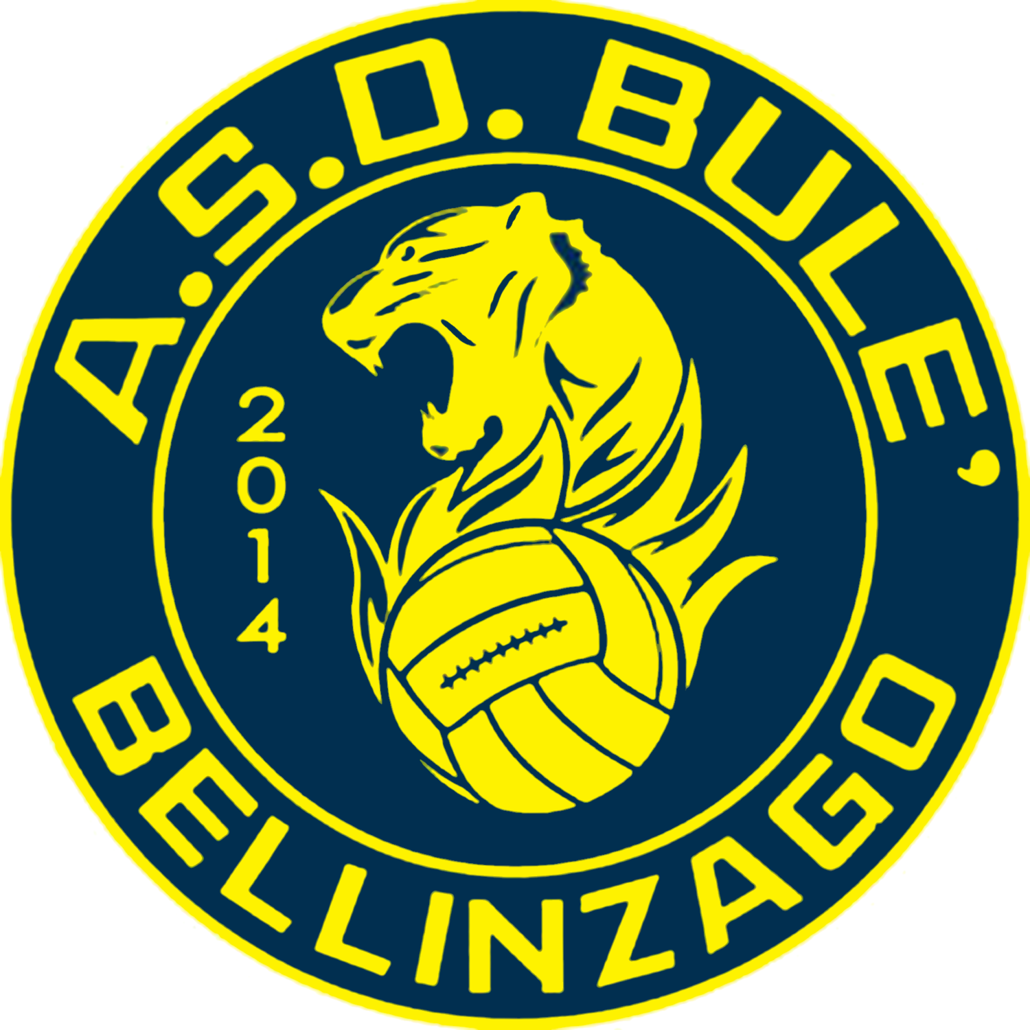 Scheda Giocatore G8495655 - Libertas Rapid - Allievi Regionali U17 ...
