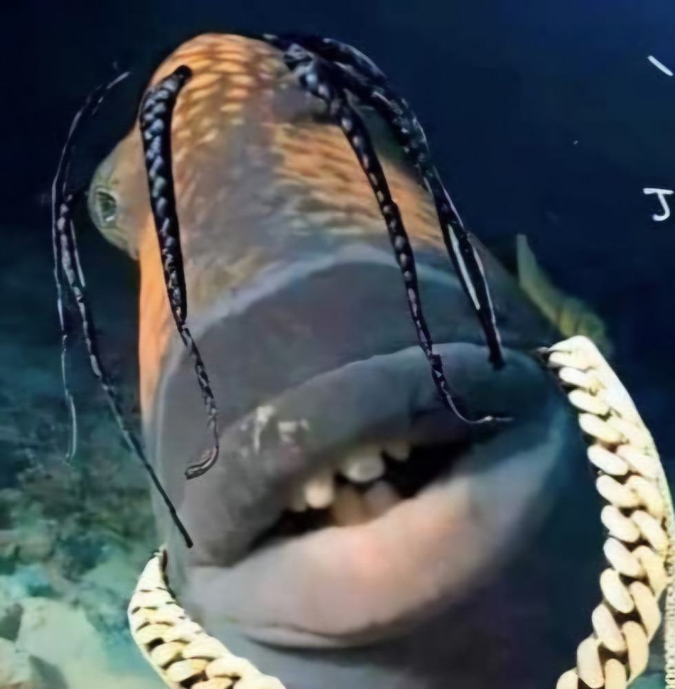 Scheda Giocatore G8961545 - Olympic Cumiana - Allievi Provinciali U16 ...