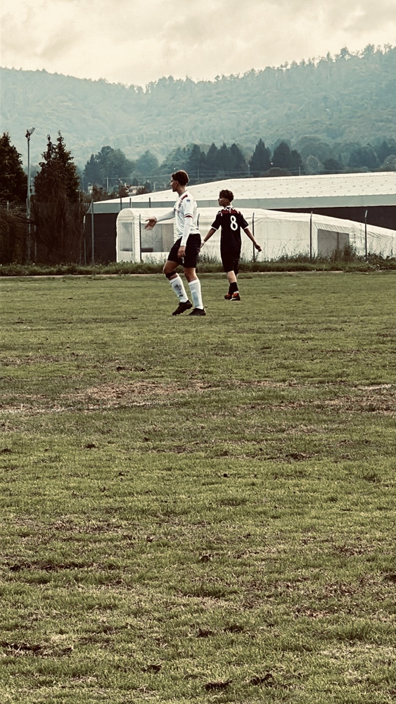 Scheda Giocatore G9026963 - BTS La Rustica - Juniores Provinciali U19 ...