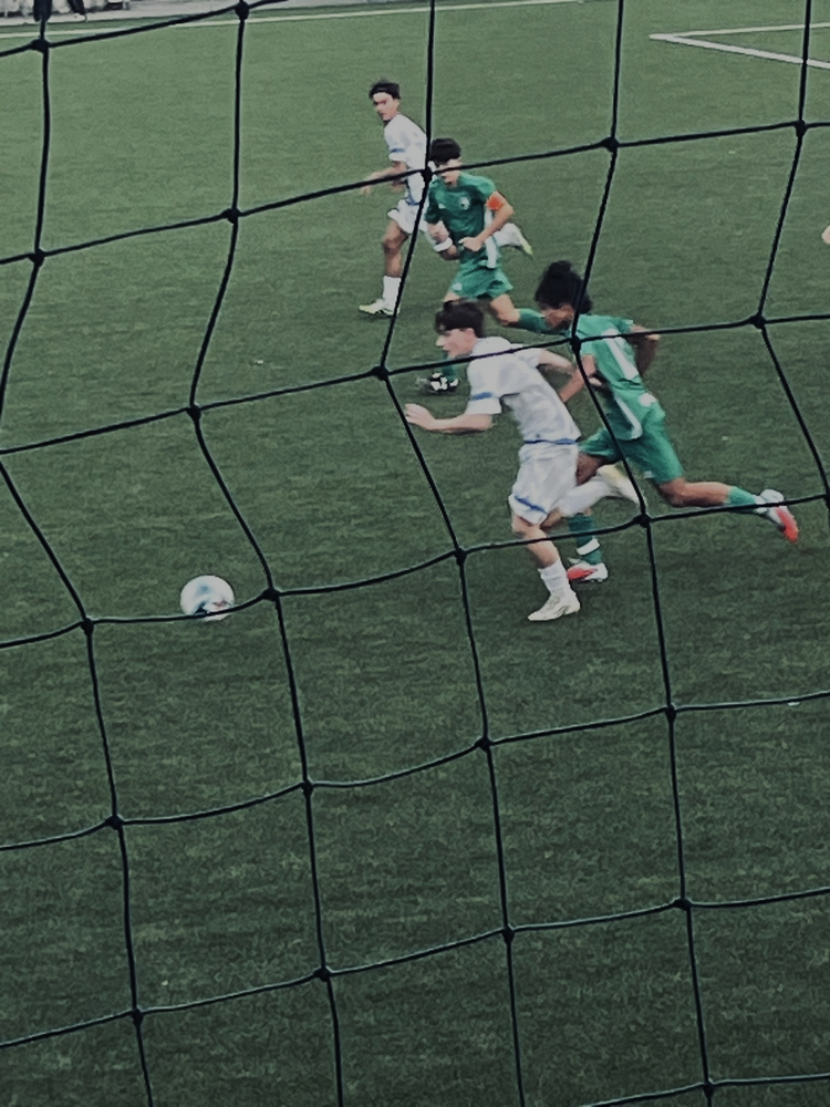 Scheda Giocatore G9382261 - ACR Football Club - Allievi Provinciali U17 ...