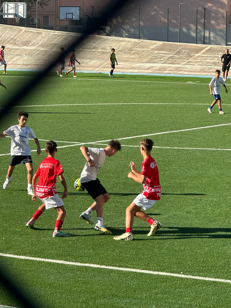 Carriera Giocatore G9430306 - Fidelis Andria - Giovanissimi Regionali ...