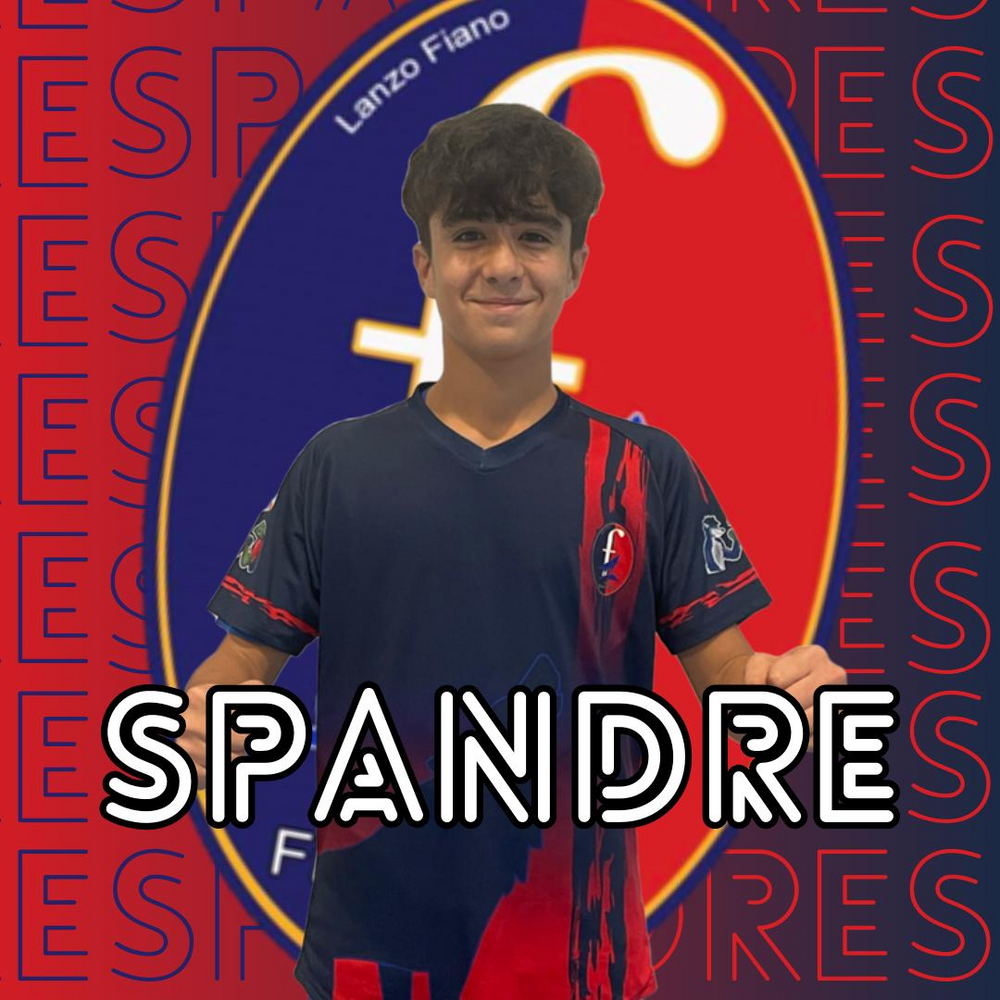 Scheda Giocatore G9436286 - Vdl Fiano Plus - Calcio a 5 Giovanili Under ...