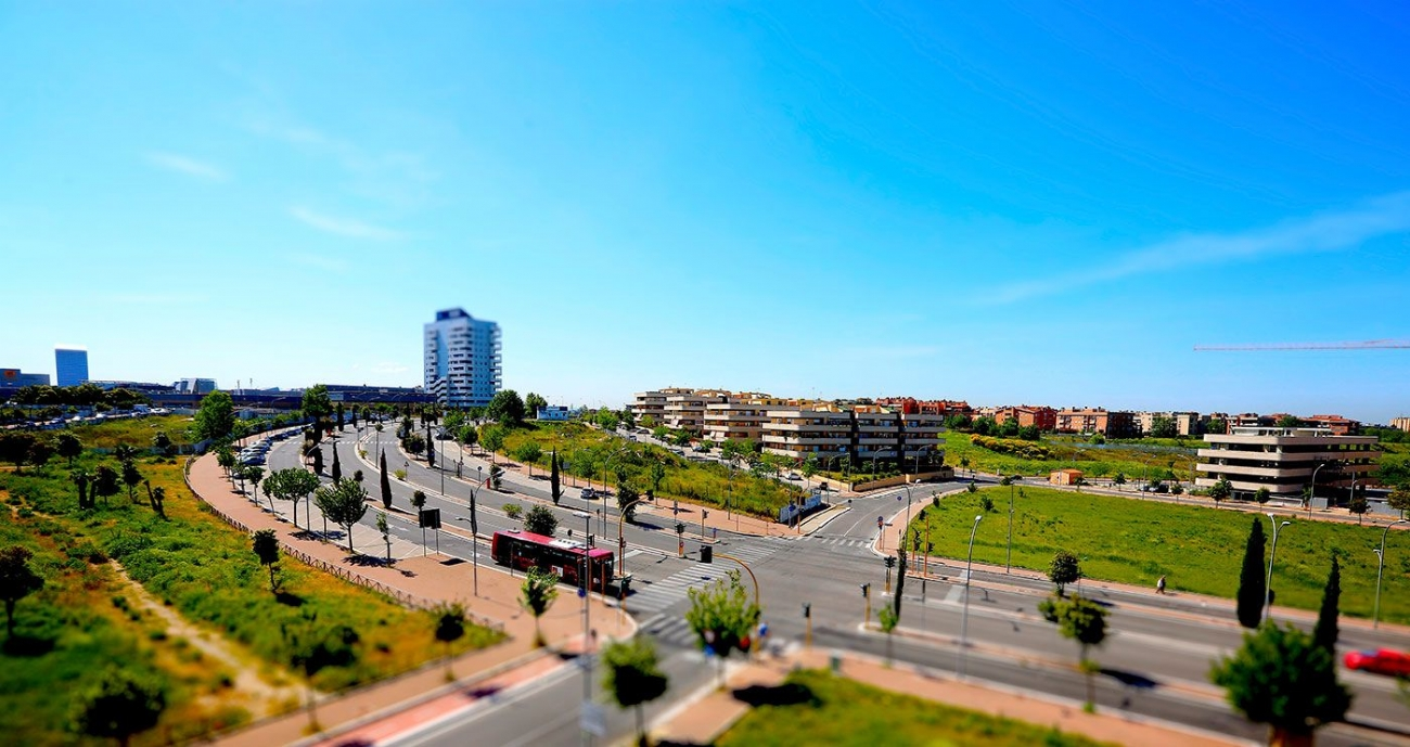 Scheda Vigor Bufalotta - Tornei Cup Summer Lazio - 2024-25