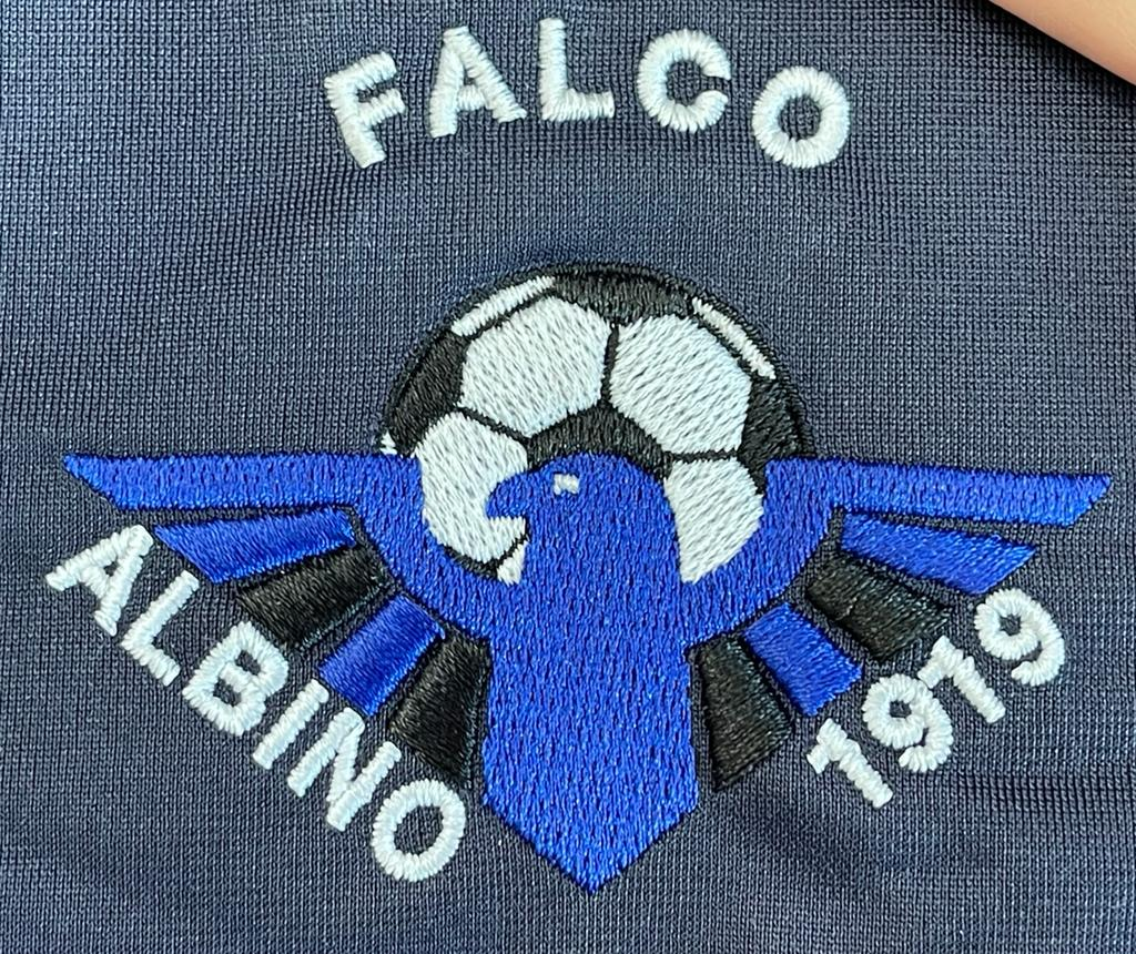 Scheda Falco - Prima Categoria Girone E Lombardia - Monza Brianza