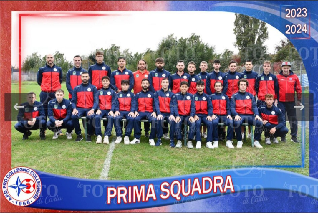 Scheda Pro Collegno Collegnese - Prima Categoria Girone D Piemonte ...