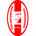 Scheda Carignano - Giovanissimi Provinciali U15 Pinerolo - Girone A ...