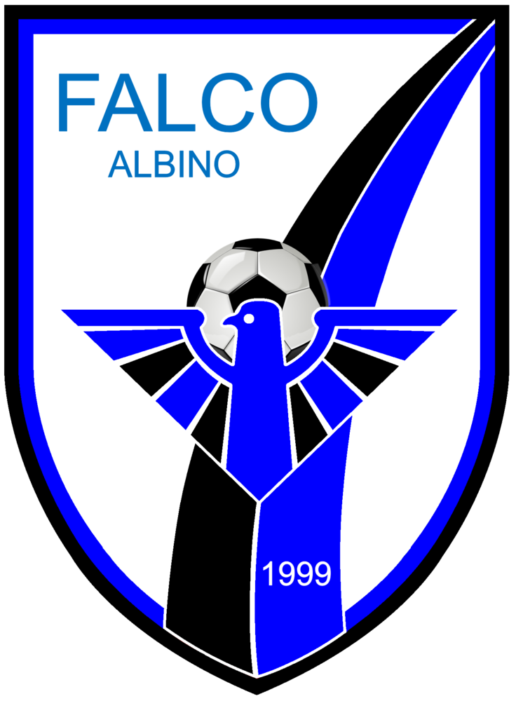 Marcatori Falco - Juniores Regionali U19 Girone D Lombardia