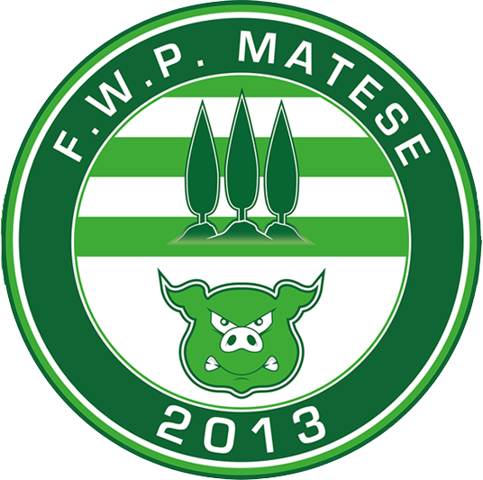 Scheda F. W. P. Matese - Seconda Categoria Girone A Molise - 2013-14