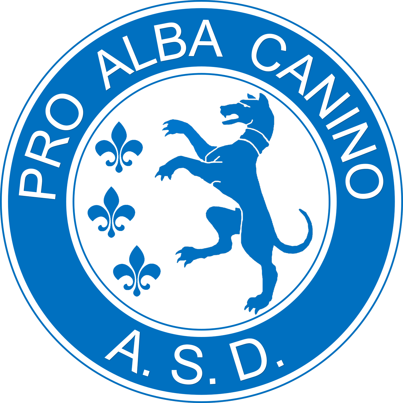 News Pro Alba Canino - Seconda Categoria Girone A Lazio - 2023-24