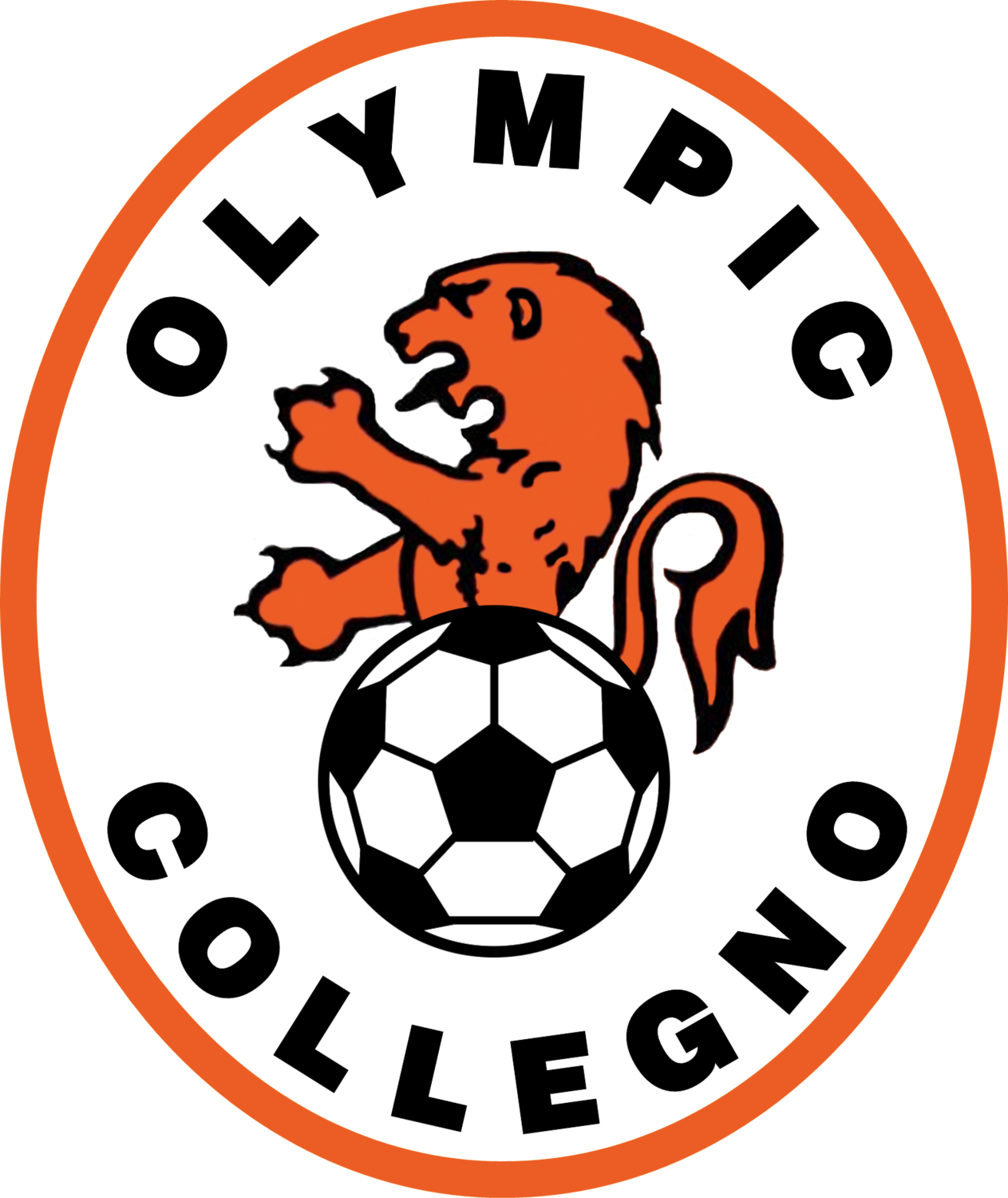 Scheda Olympic Collegno - Allievi Provinciali U17 Torino - Girone A ...