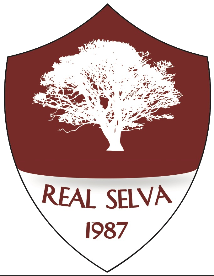 Scheda Nova Cartotecnica Roberto Selva - CSI Calcio a 7 Open Teramo ...