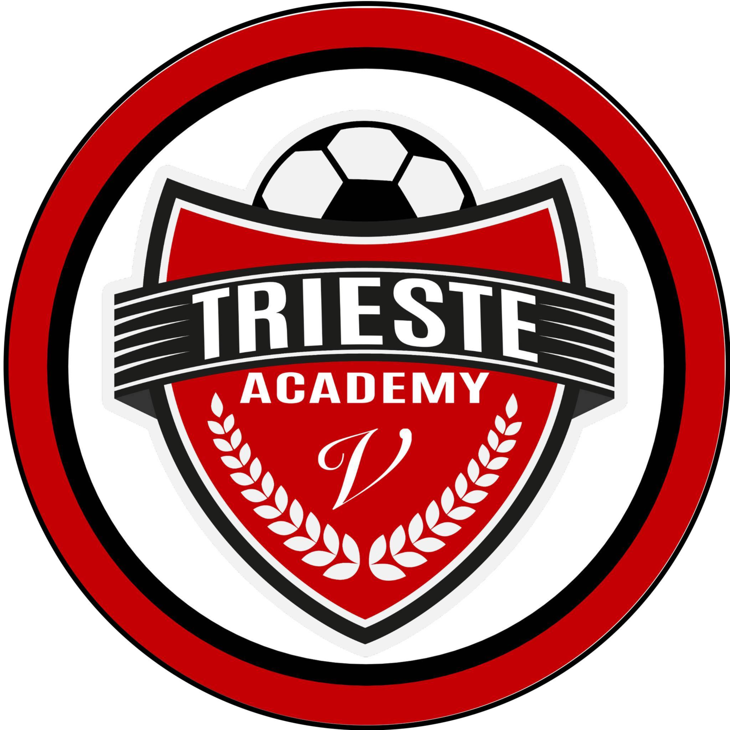 Scheda Trieste Victory Academy - Tuttocampo.it
