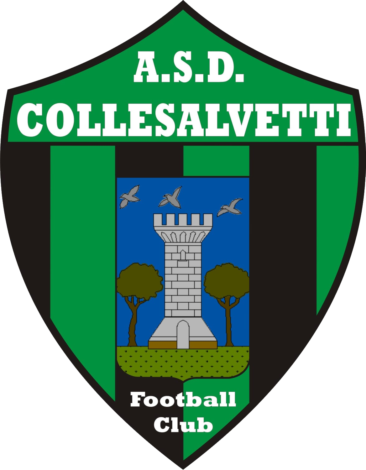 Scheda Collesalvetti - Terza Categoria Livorno - Girone Unico Toscana ...