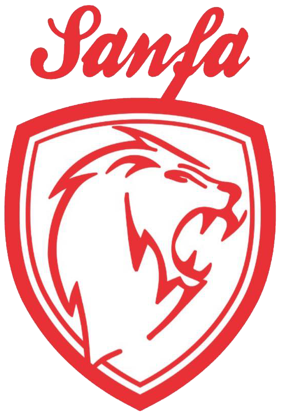 Scheda Sanfa - Allievi Regionali U16 Girone A Emilia-Romagna