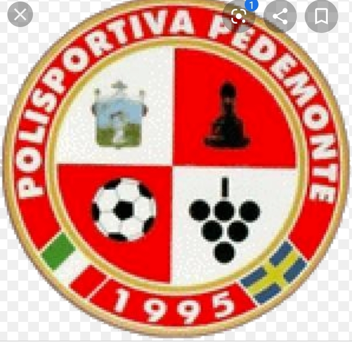 Scheda Pedemonte - Giovanissimi Provinciali U14 Verona - Girone N Veneto