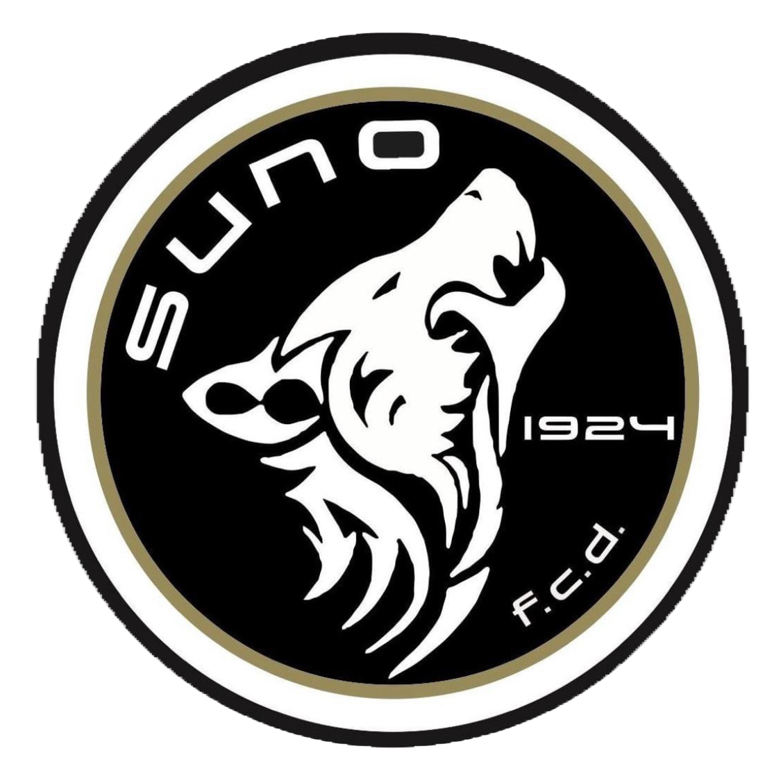 Scheda Suno 1924 - Terza Categoria Verbano Cusio Ossola - Girone Unico ...