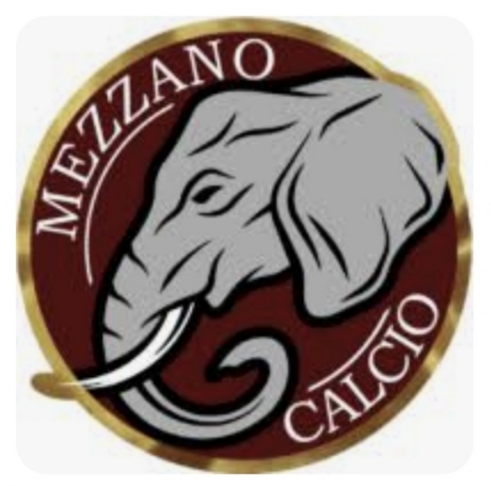 Scheda Mezzano - Giovanissimi Provinciali U15 Ravenna - Girone A Emilia ...