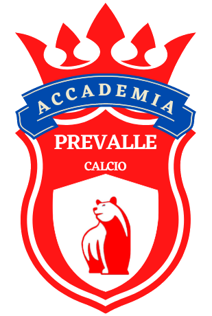 Marcatori Accademia Prevalle Calcio - Giovanissimi Provinciali U15 ...