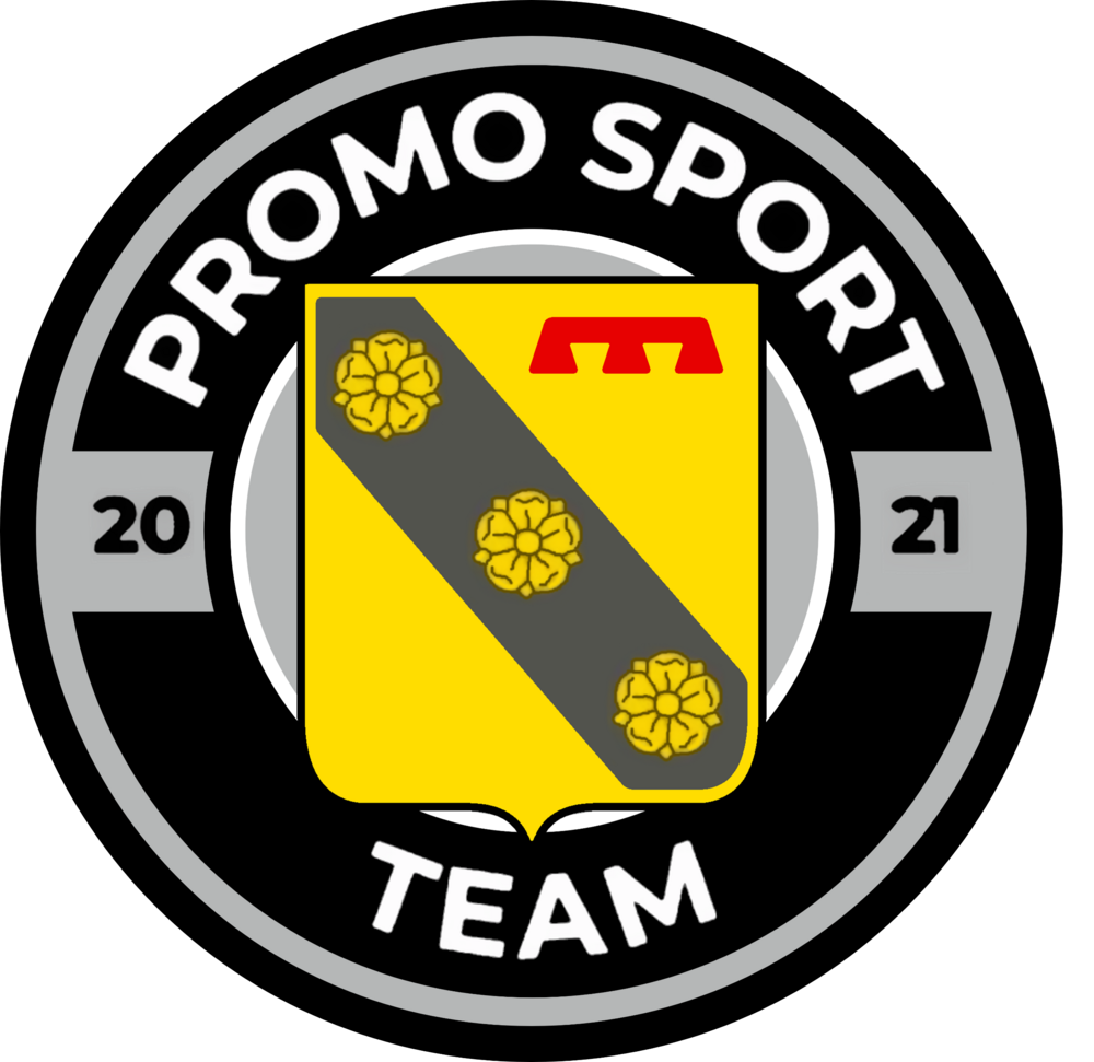 Scheda Promo Sport Team - Terza Categoria Torino - Girone C Piemonte