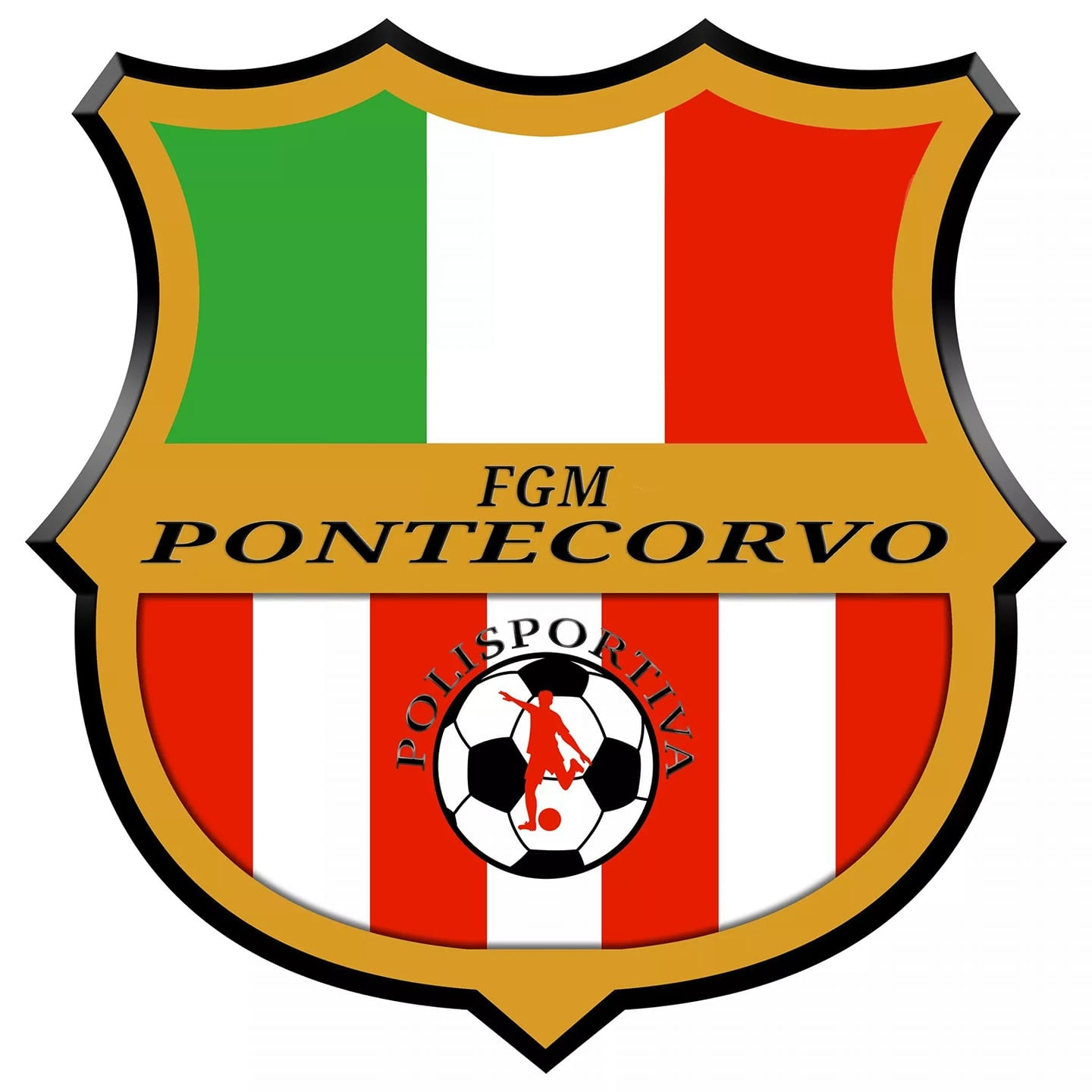 Scheda F.g.m. Pontecorvo - Esordienti Misti 9c9 Fase Primaverile ...