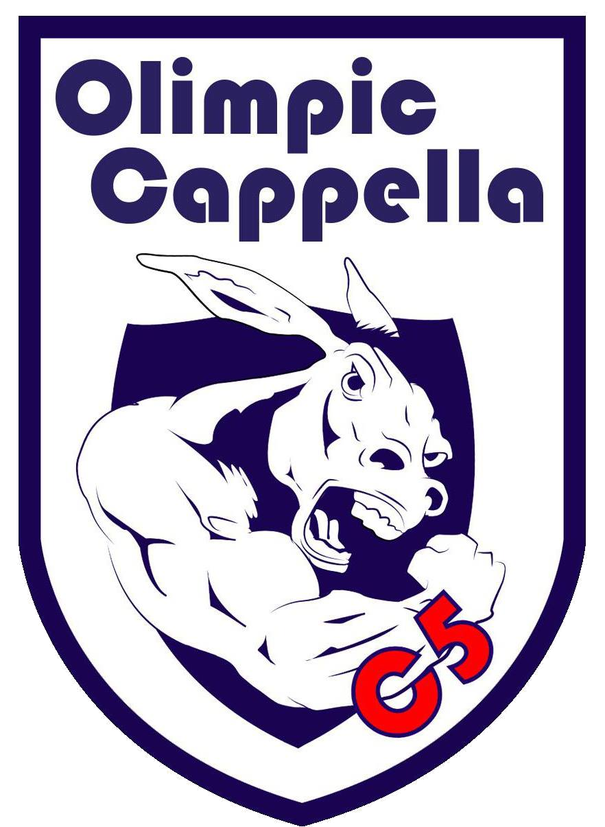 Scheda Olimpic Cappella - Calcio a 5 Dilettanti Serie D - Girone C ...