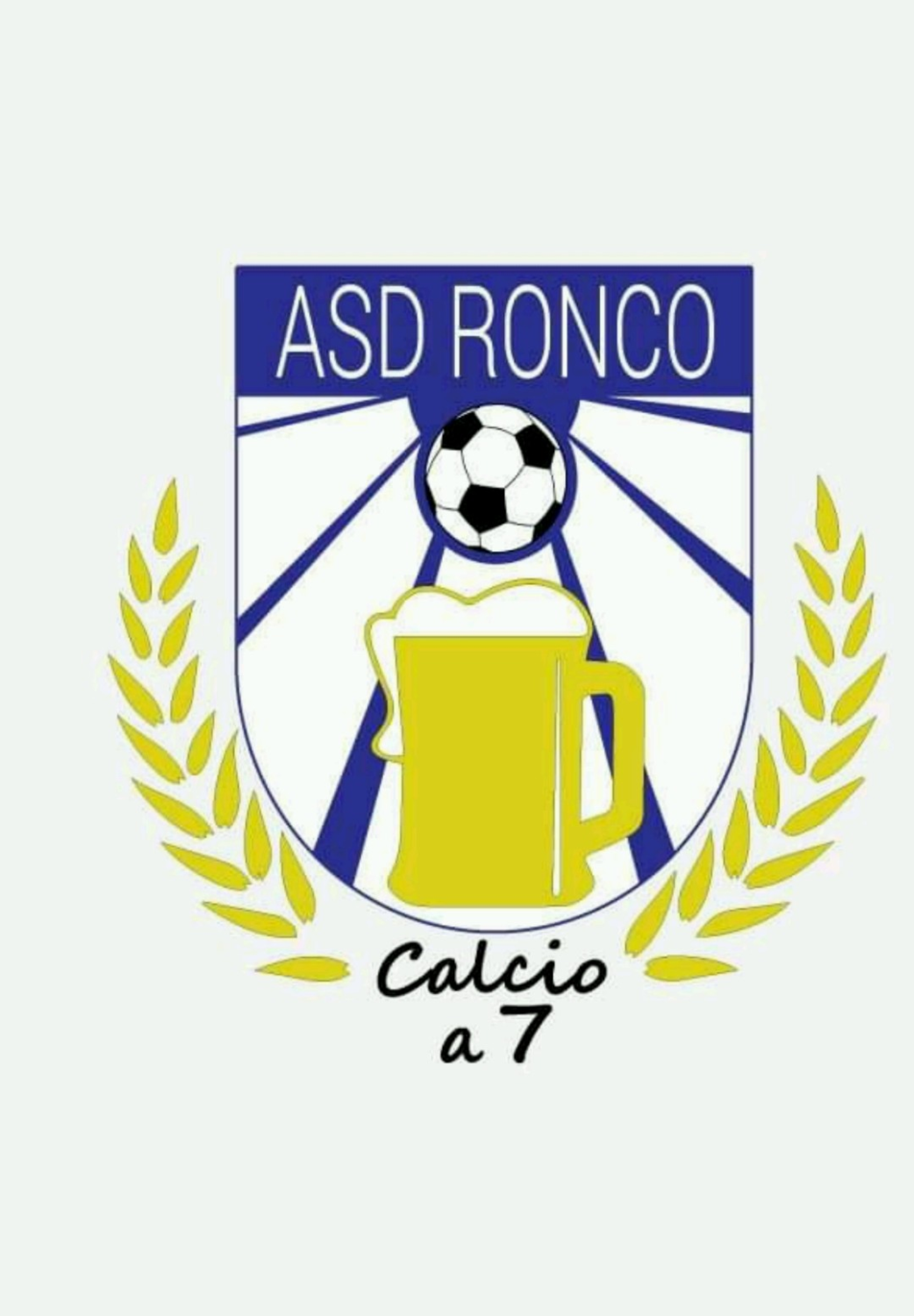 Scheda Ronco Calcio A7 - Amatori CSI Calcio a 7 Super Top Verona ...