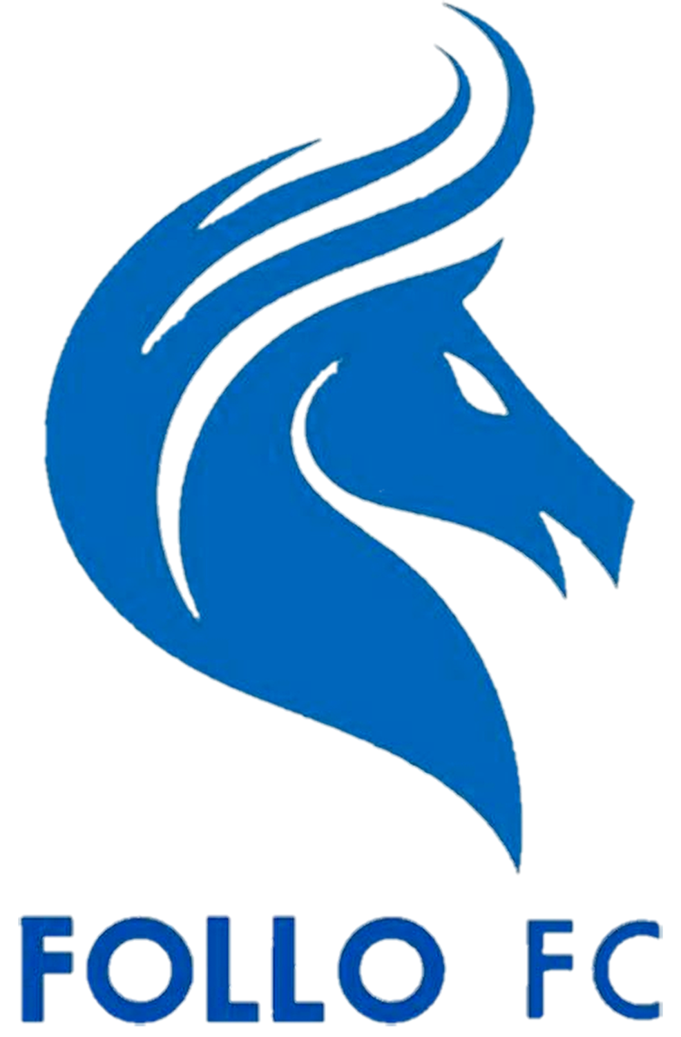 Scheda Follo F.C. - Juniores Interprovinciali U19 Girone D Liguria