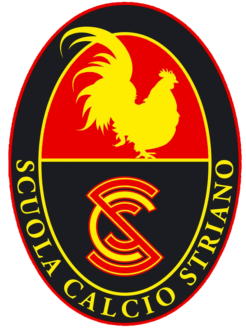 Scheda Scuola Calcio Striano U15 - Giovanissimi Provinciali U15 Salerno ...