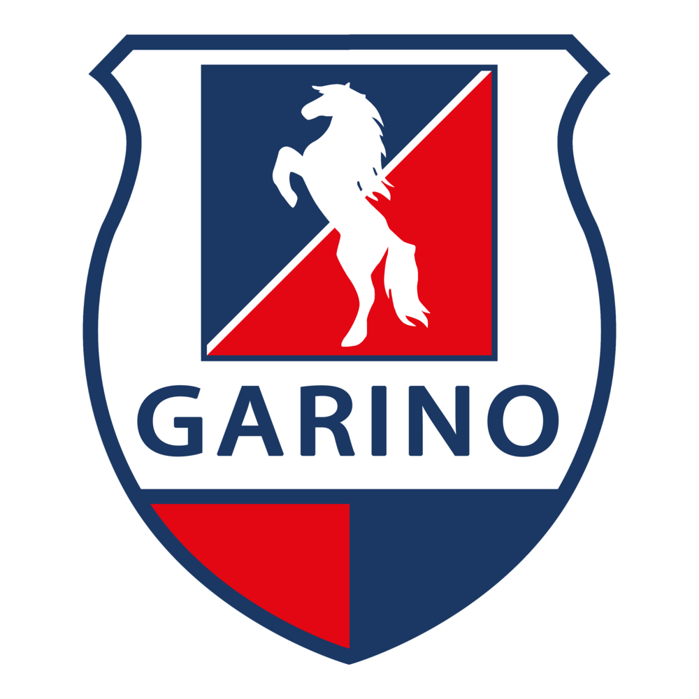 Scheda Polisportiva Garino - Giovanissimi Provinciali U14 Torino ...