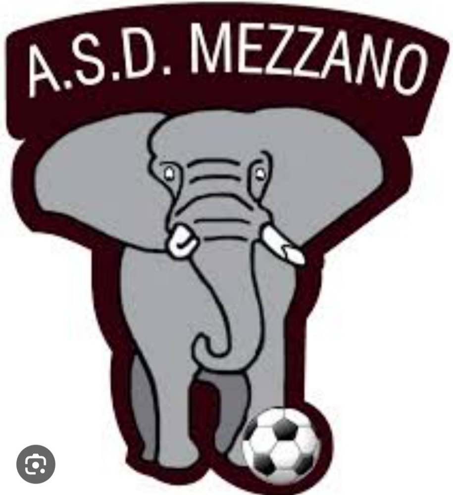 Scheda Mezzano - Esordienti Professionisti U13 Under 14 Ravenna ...