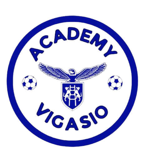 Scheda Academy Vigasio - Allievi Provinciali U17 Verona - Girone D ...