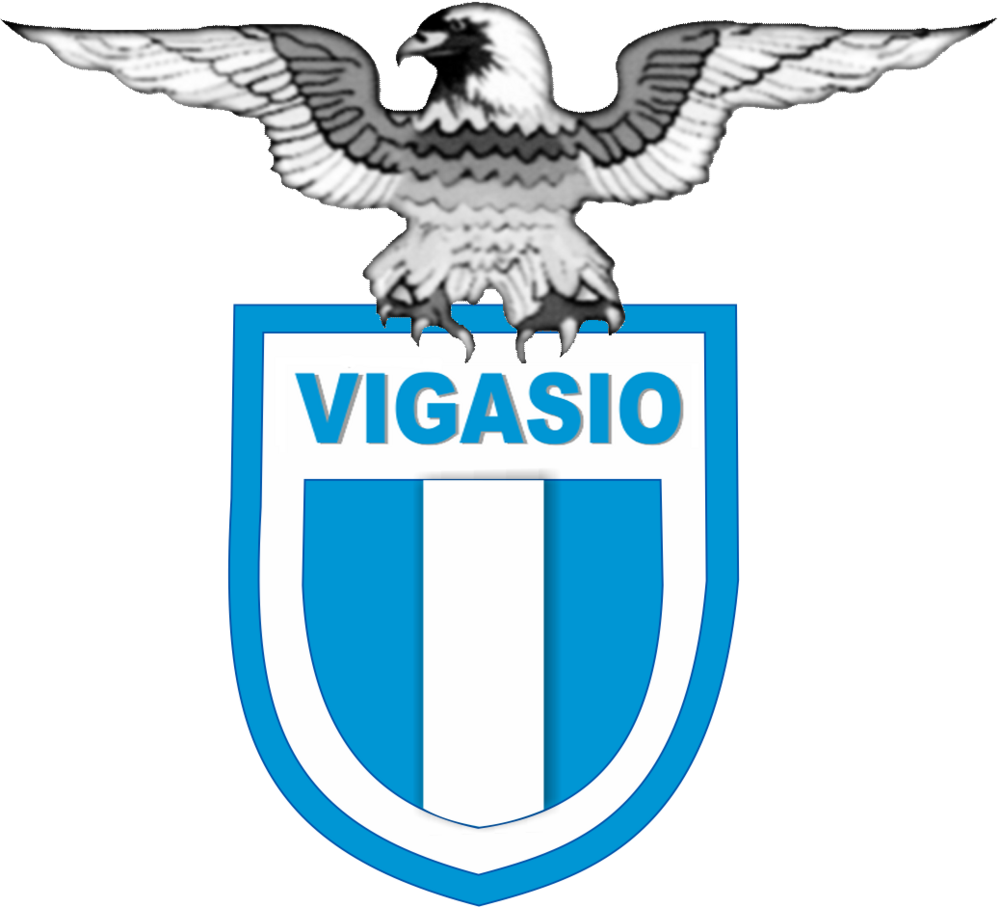 Scheda Vigasio - Giovanissimi Provinciali U15 Verona - Girone E Veneto