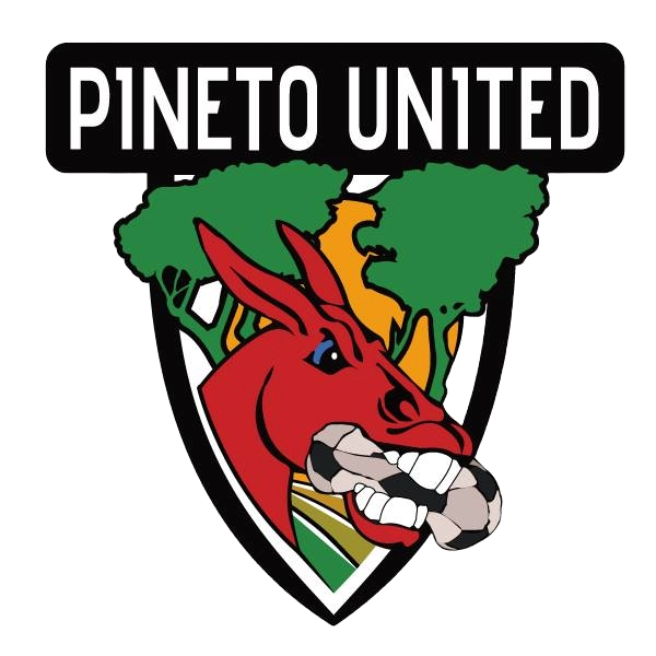 Calciomercato Pineto United - Terza Categoria Roma - Girone B Lazio