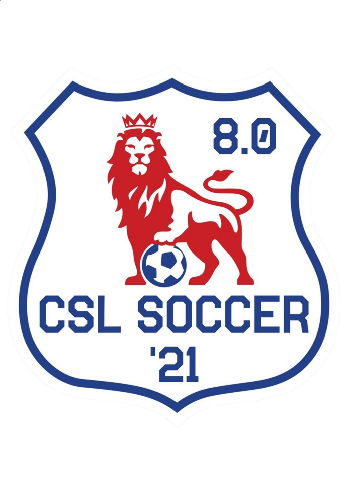 Rosa Csl Soccer 21 8.0 - Giovanissimi Provinciali U14 Viterbo - Girone ...