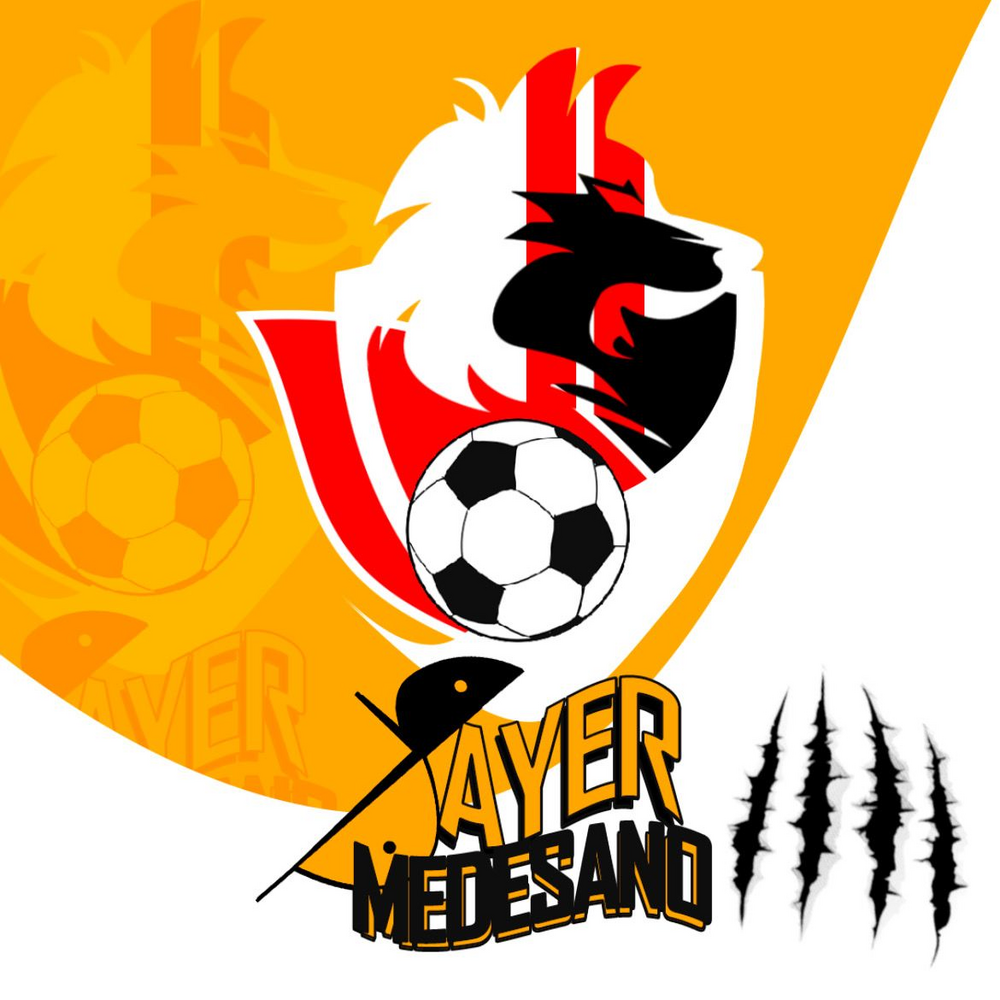 Scheda Bayer Medesano - Amatori CSI Calcio a 7 Open B Parma - Girone A ...