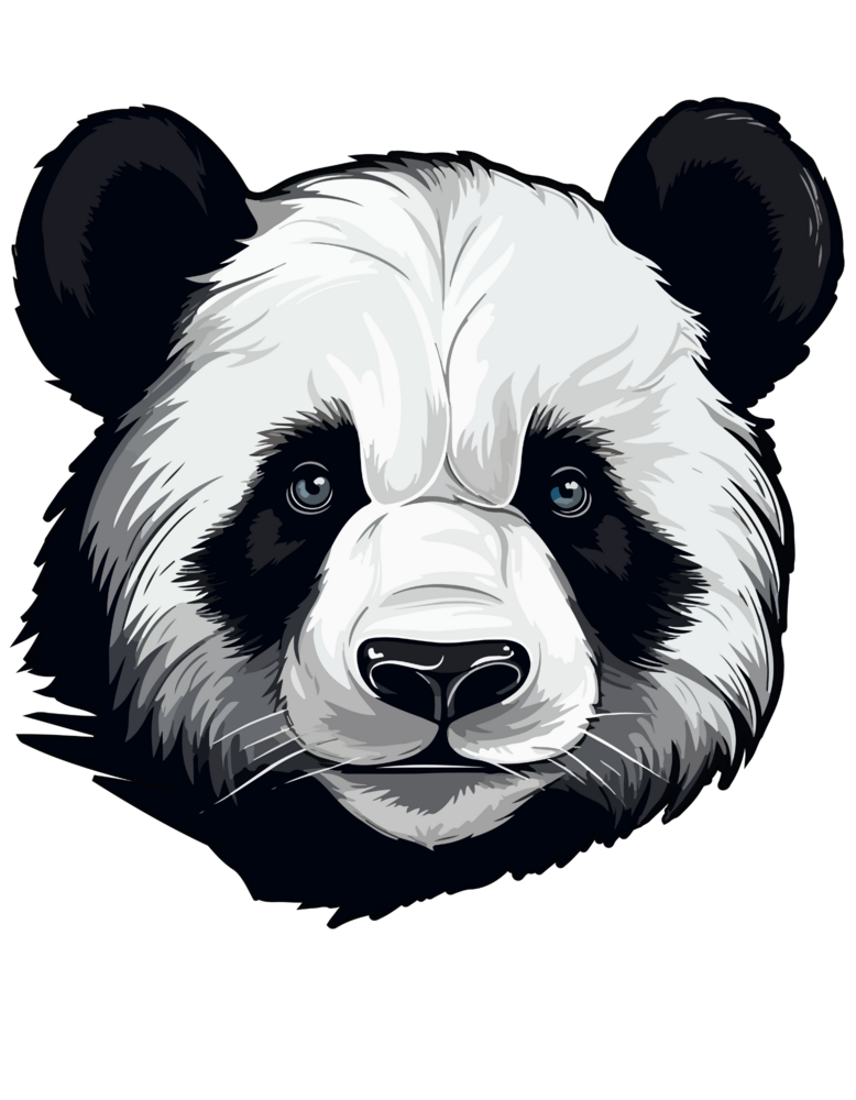 Scheda Pandas - Tornei Infinity Serie Elite Summer Season 2025 Sicilia