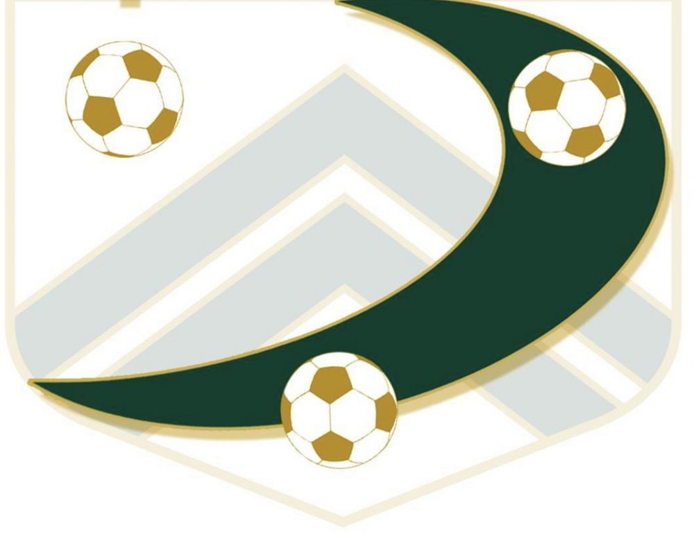 Marcatori Virtus Parioli - Calcio a 5 Dilettanti Serie D Roma - Girone ...