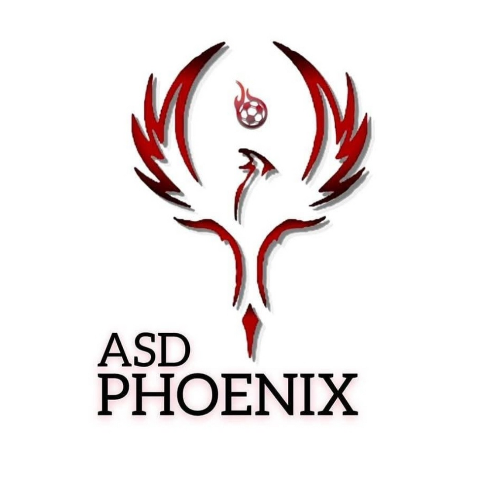 Scheda Phoenix Women - Amatori CSAIN Calcio a 5 Femminile Catania ...