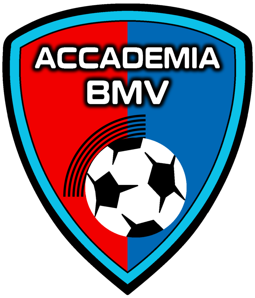 Scheda Accademia BMV - Promozione Girone C Lombardia - Monza Brianza