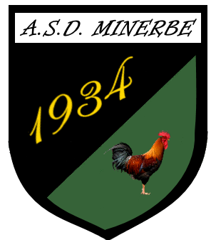 Scheda Minerbe - Seconda Categoria Girone D Veneto - 2013-14