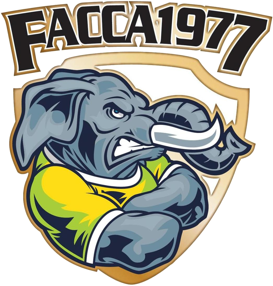 Staff Facca - Seconda Categoria Girone I Veneto - Tuttocampo.it