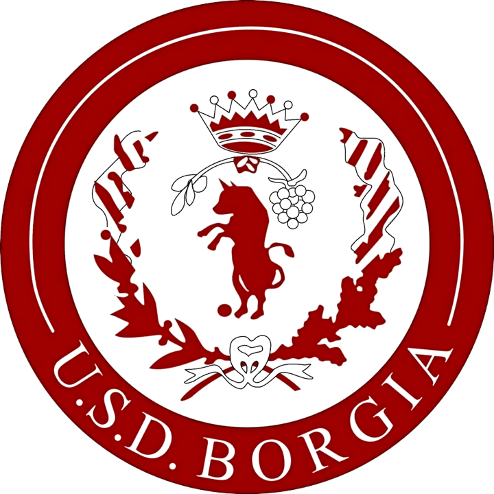 Scheda Borgia 2007 - Prima Categoria Girone C Calabria - Tuttocampo.it