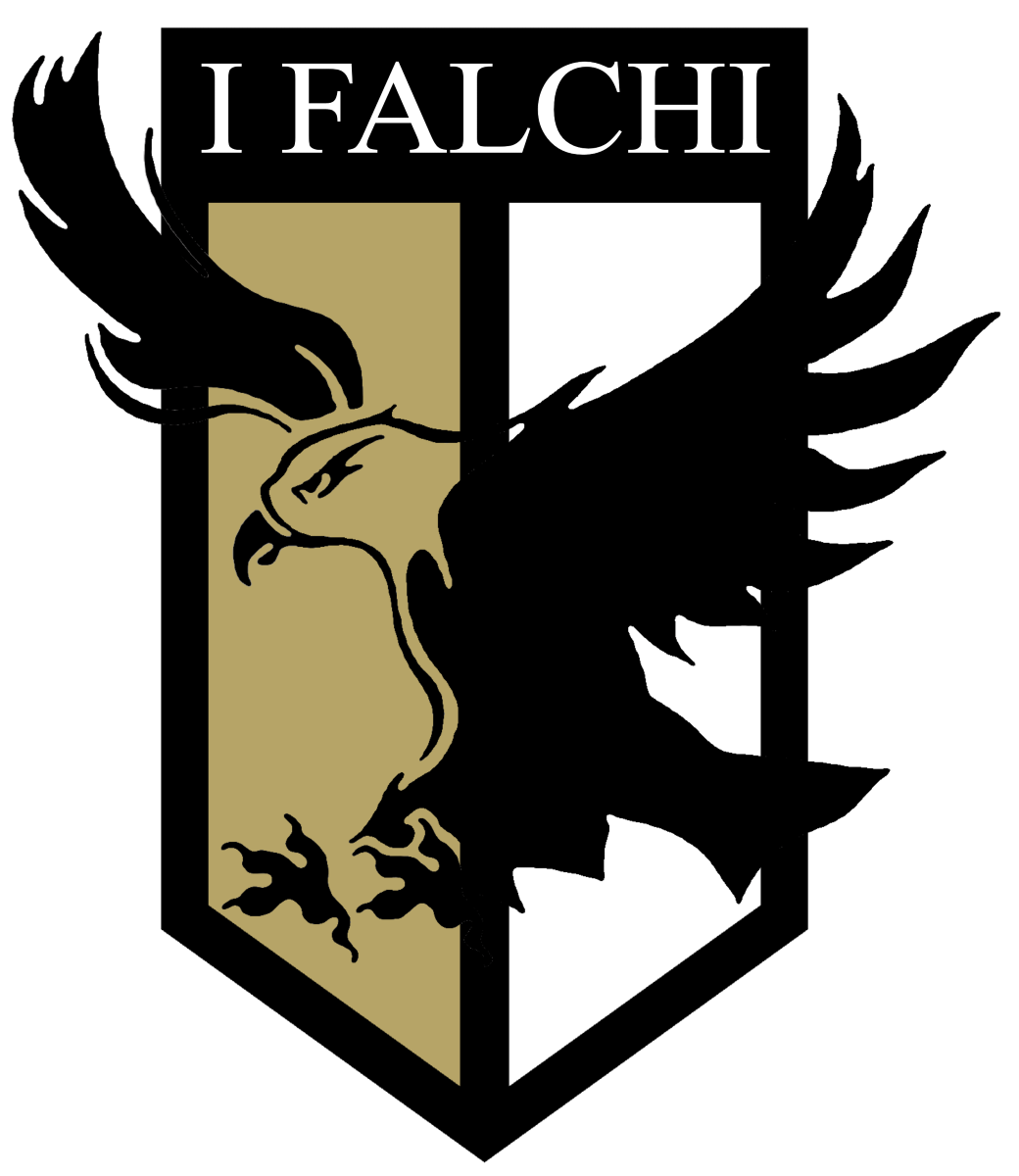 Scheda Prata Falchi Visinale - Promozione Girone Unico Friuli-Venezia ...